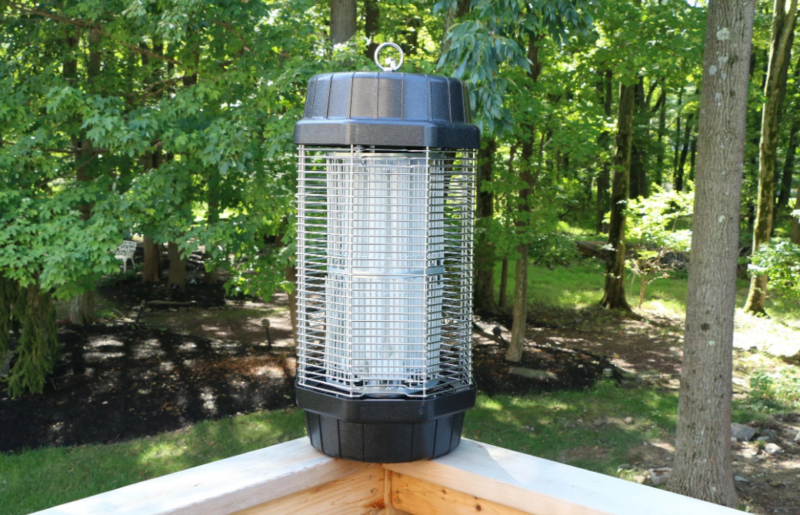 How to Get Rid of Flies Outside, Best Ways and Natural - American Celiac