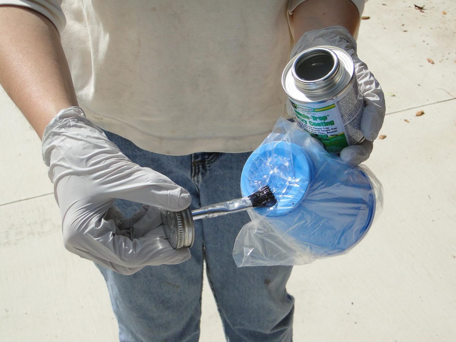 Yellow Flies Bites, How to Kill and Repellants - American Celiac