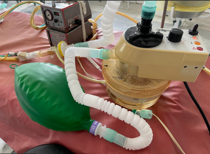 The Importance of Heating and Humidifying Anesthetic Gases for Separate ...