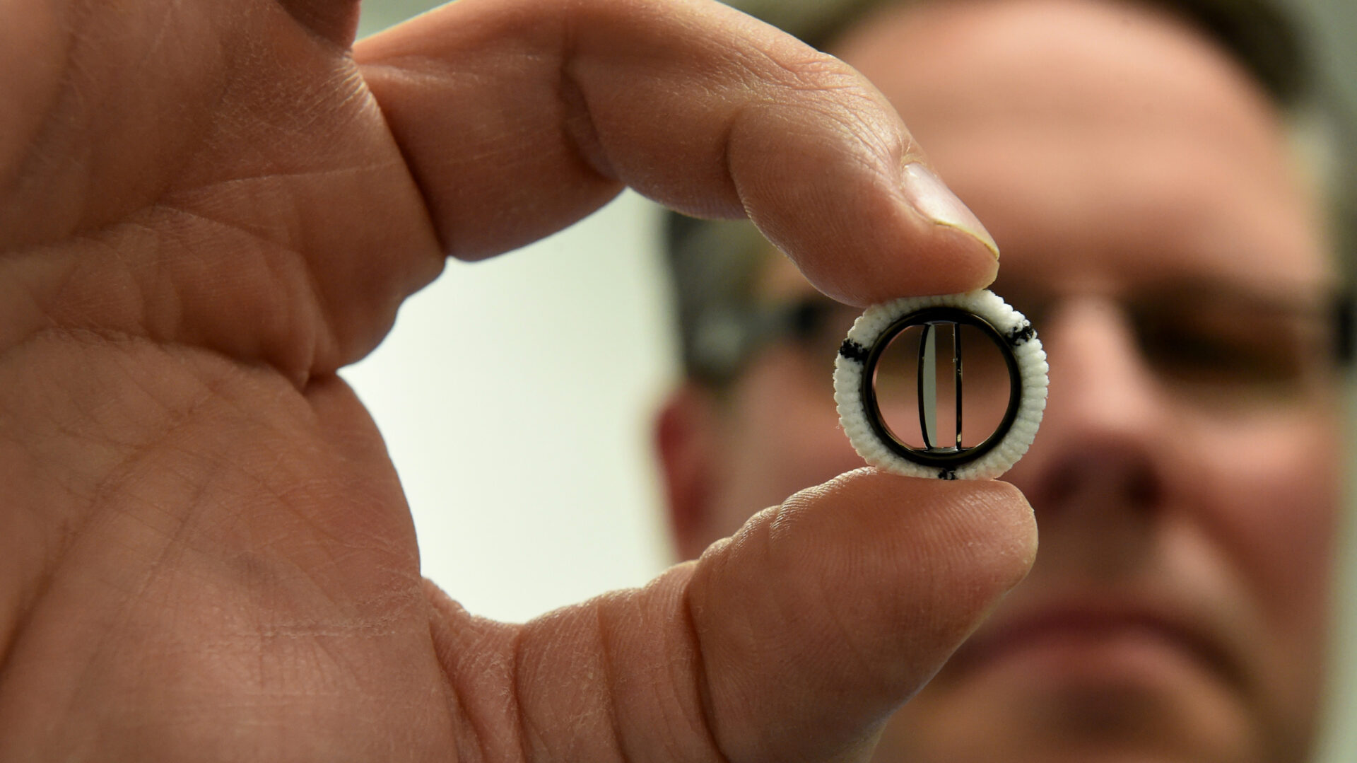 Prosthetic Heart Valves Are Generally Prepared From Bovine Tissues And ...