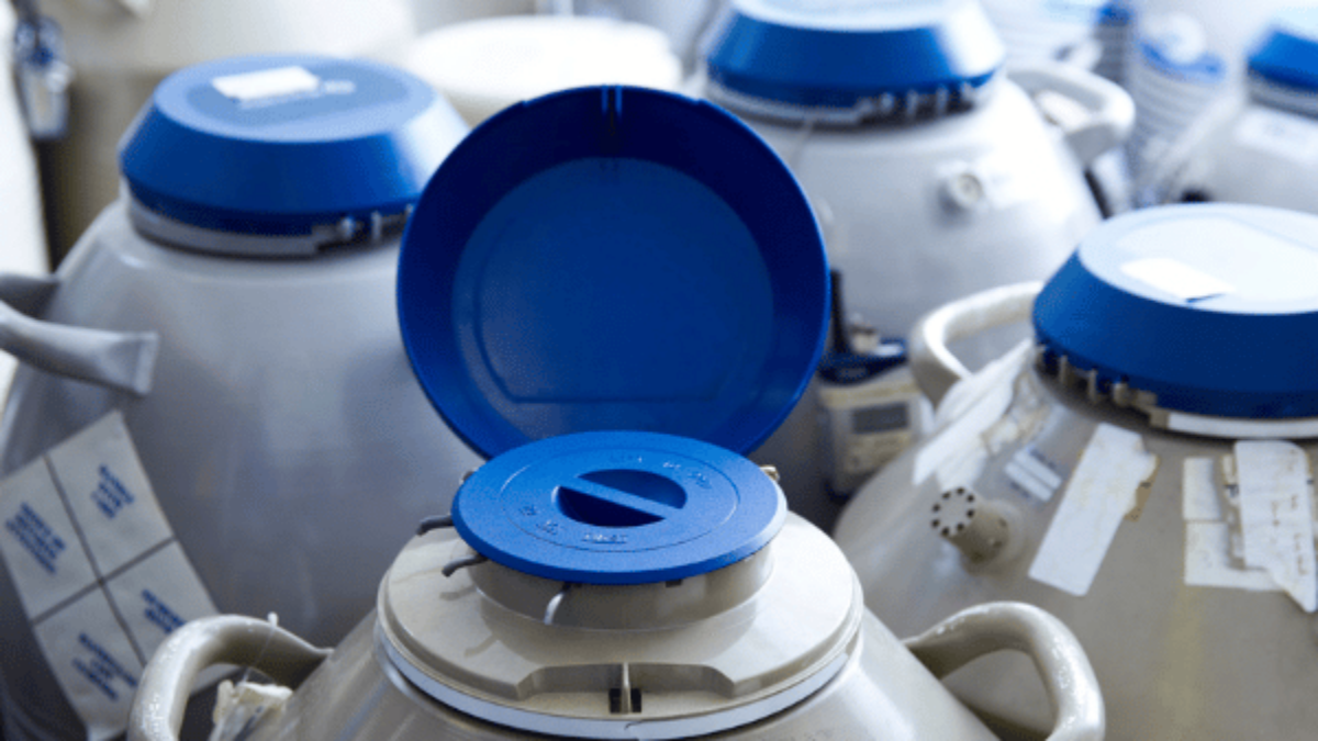 Is it Safe to Ship Embryos Internationally? - American Celiac