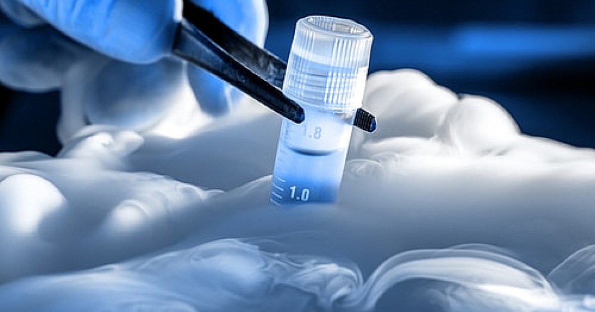Is it Safe to Ship Embryos Internationally? - American Celiac