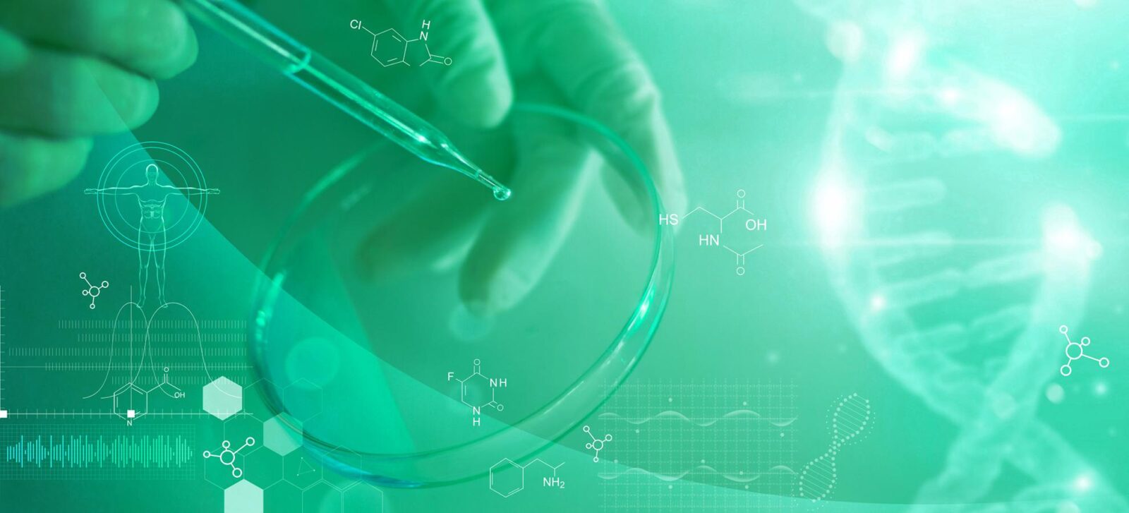 What Is a Biopharma Company and What Are Their Benefits? - American Celiac What Is a Biopharma Company and What Are Their Benefits? - American Celiac