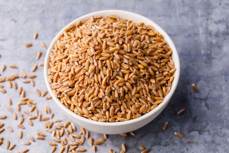Wheat Allergy: What Is It and How to Get Tested for It? - American Celiac